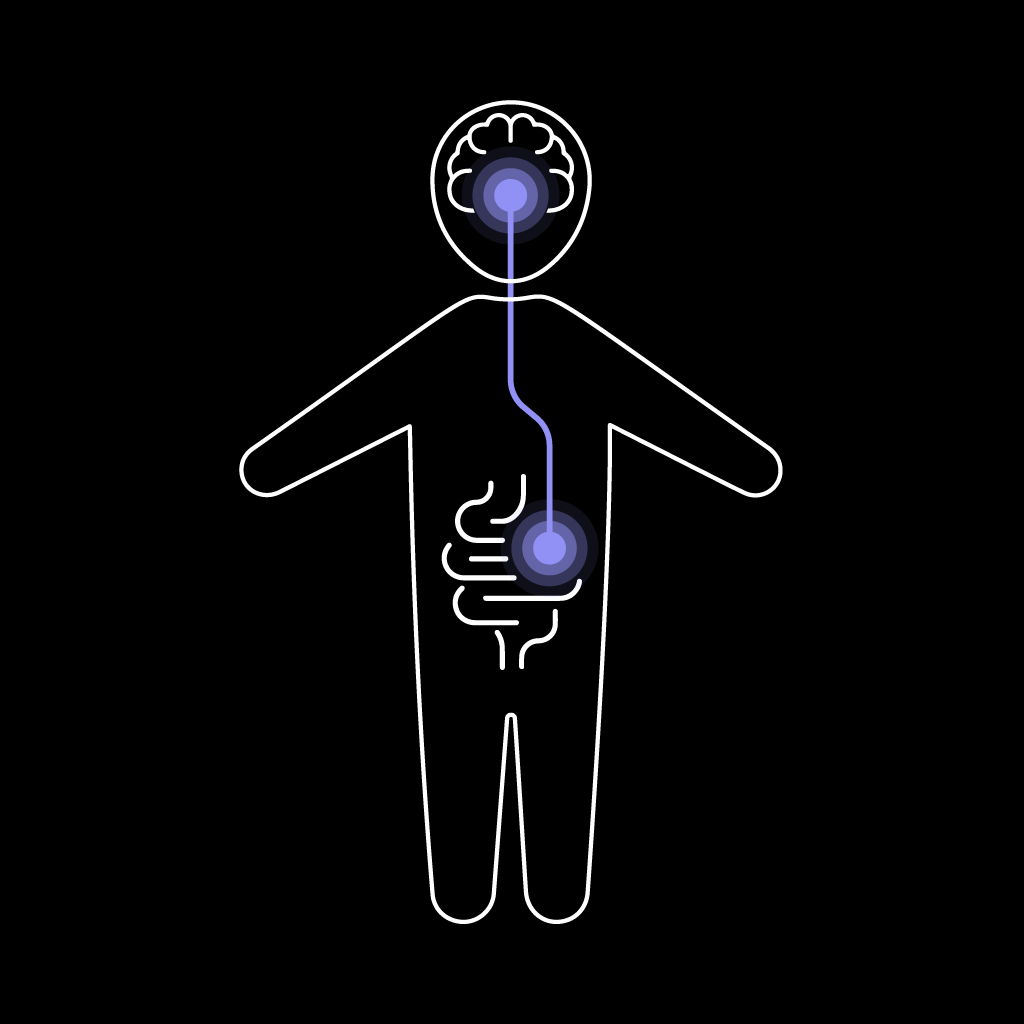 Learn - Brain Ritual®